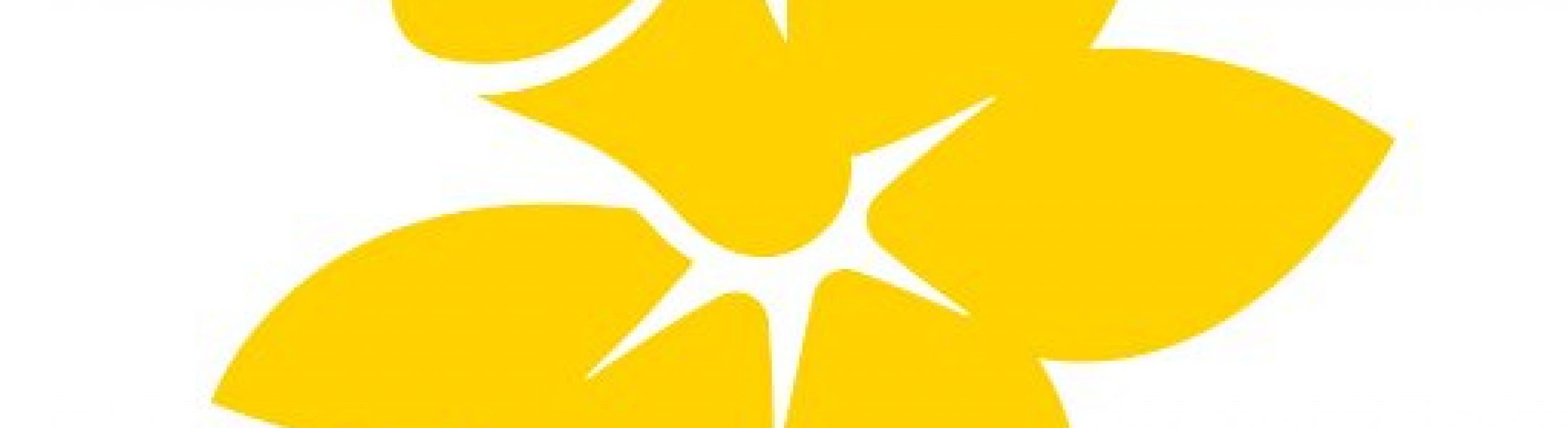 Cancer Council Qld Logo